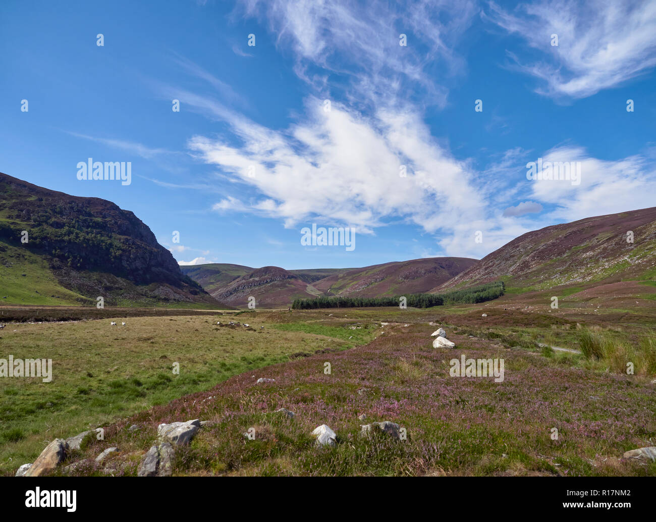 The Open Valley of Glen Mark in the Cairngorm National Park in the ...