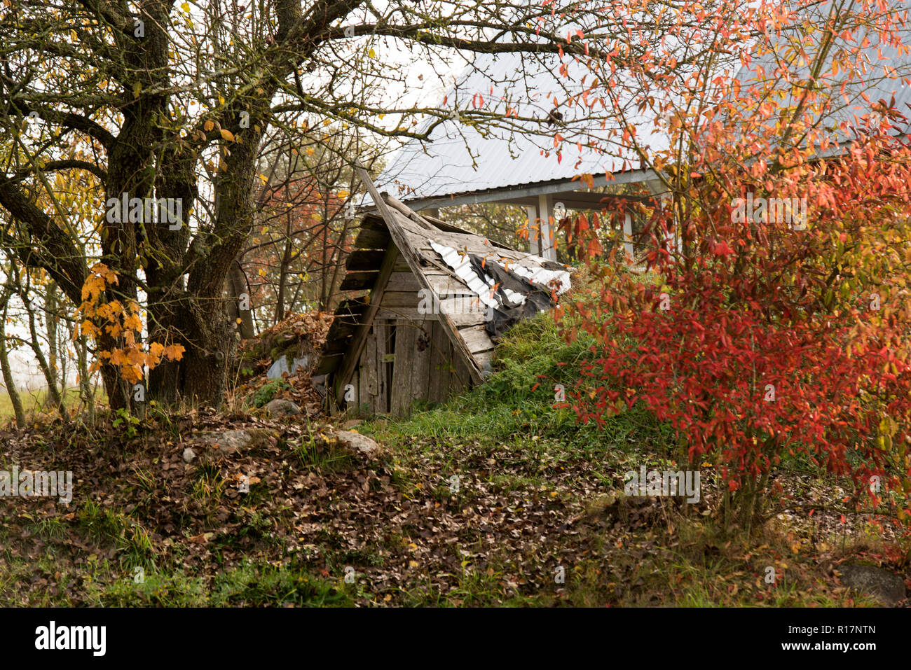 Old polish barn hi-res stock photography and images - Alamy