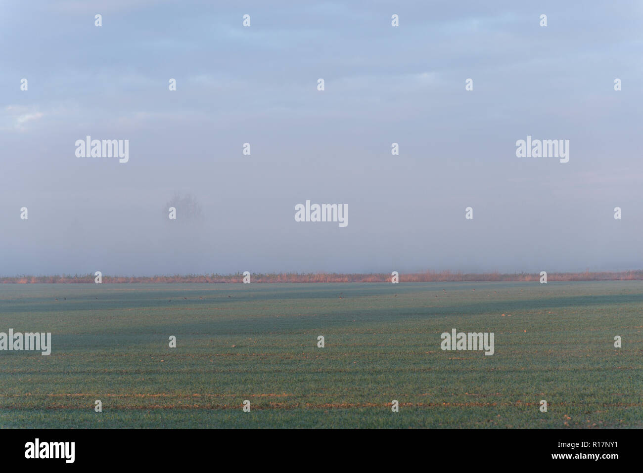 Falling sun rays hi-res stock photography and images - Alamy