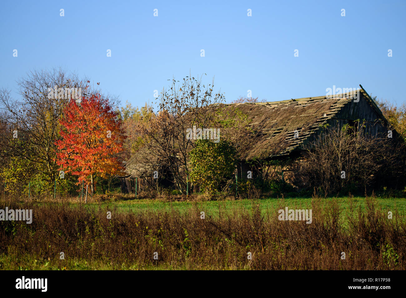Old polish barn hi-res stock photography and images - Alamy