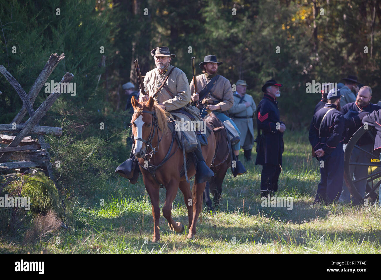 American civil war cavalry horses hi-res stock photography and images ...