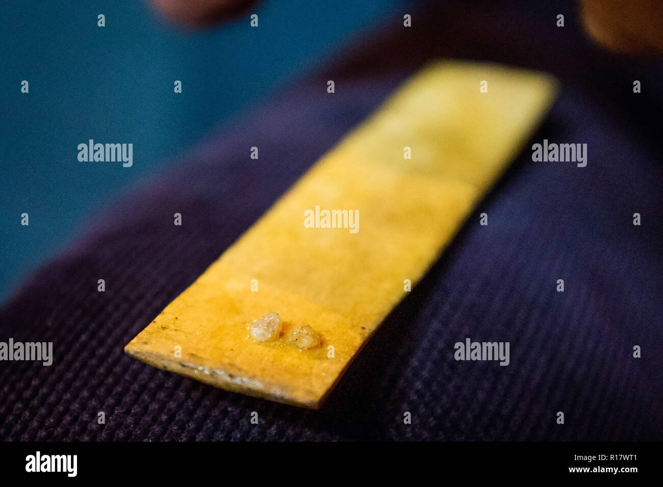 Kambo amazon frog poison medicine for body detox Stock Photo - Alamy