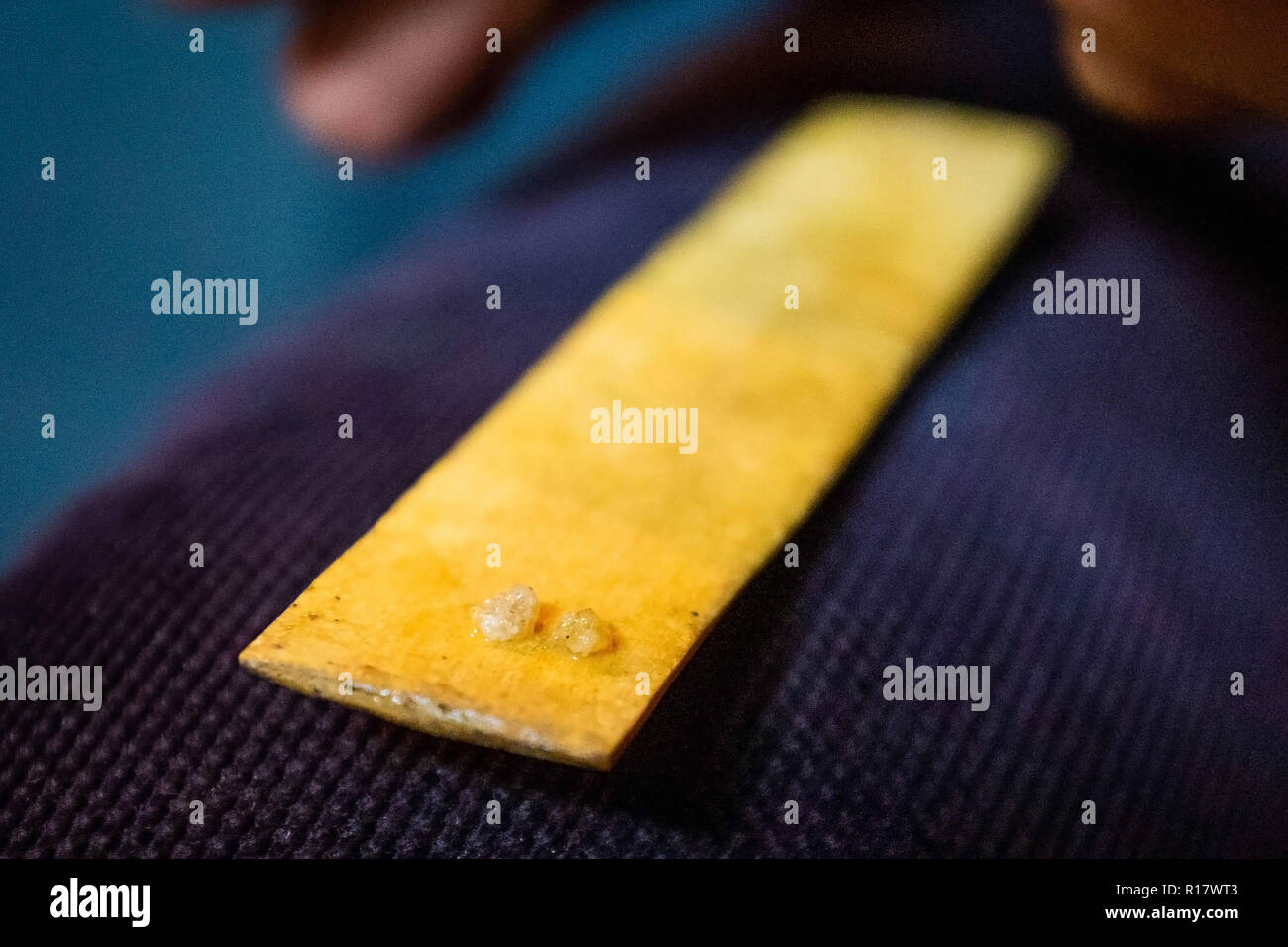 Monkey frog medicine hi-res stock photography and images - Alamy