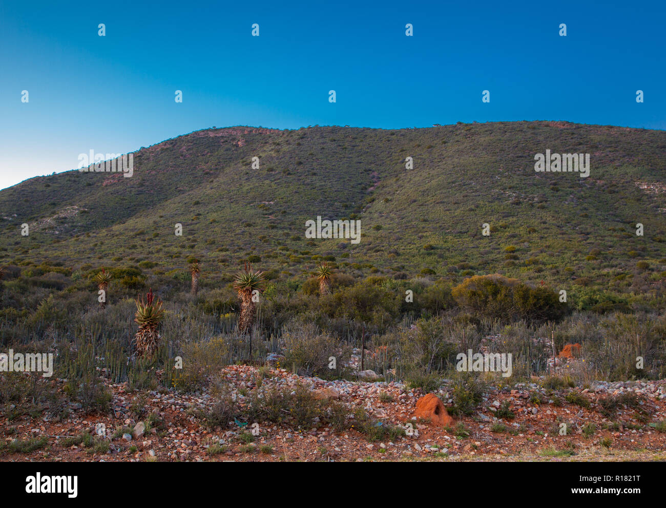 The tine town of Steytlerville, Eastern Cape, South Africa Stock Photo ...