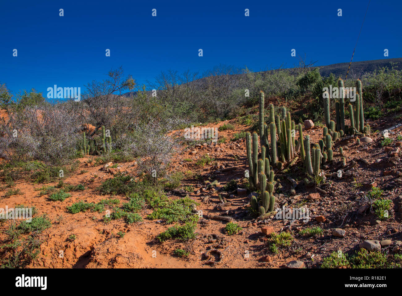 The tine town of Steytlerville, Eastern Cape, South Africa Stock Photo ...