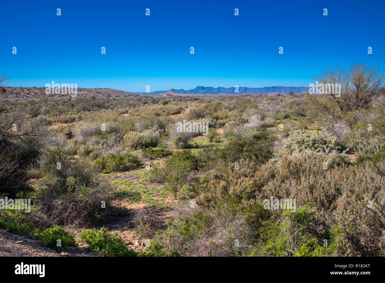The tine town of Steytlerville, Eastern Cape, South Africa Stock Photo ...