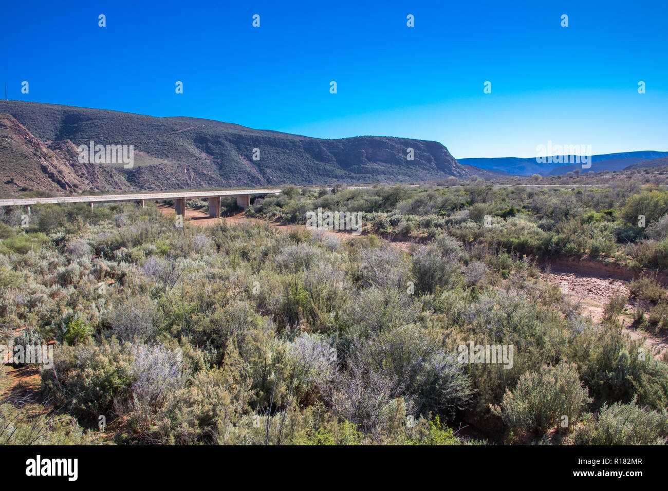 Steytlerville hi-res stock photography and images - Alamy