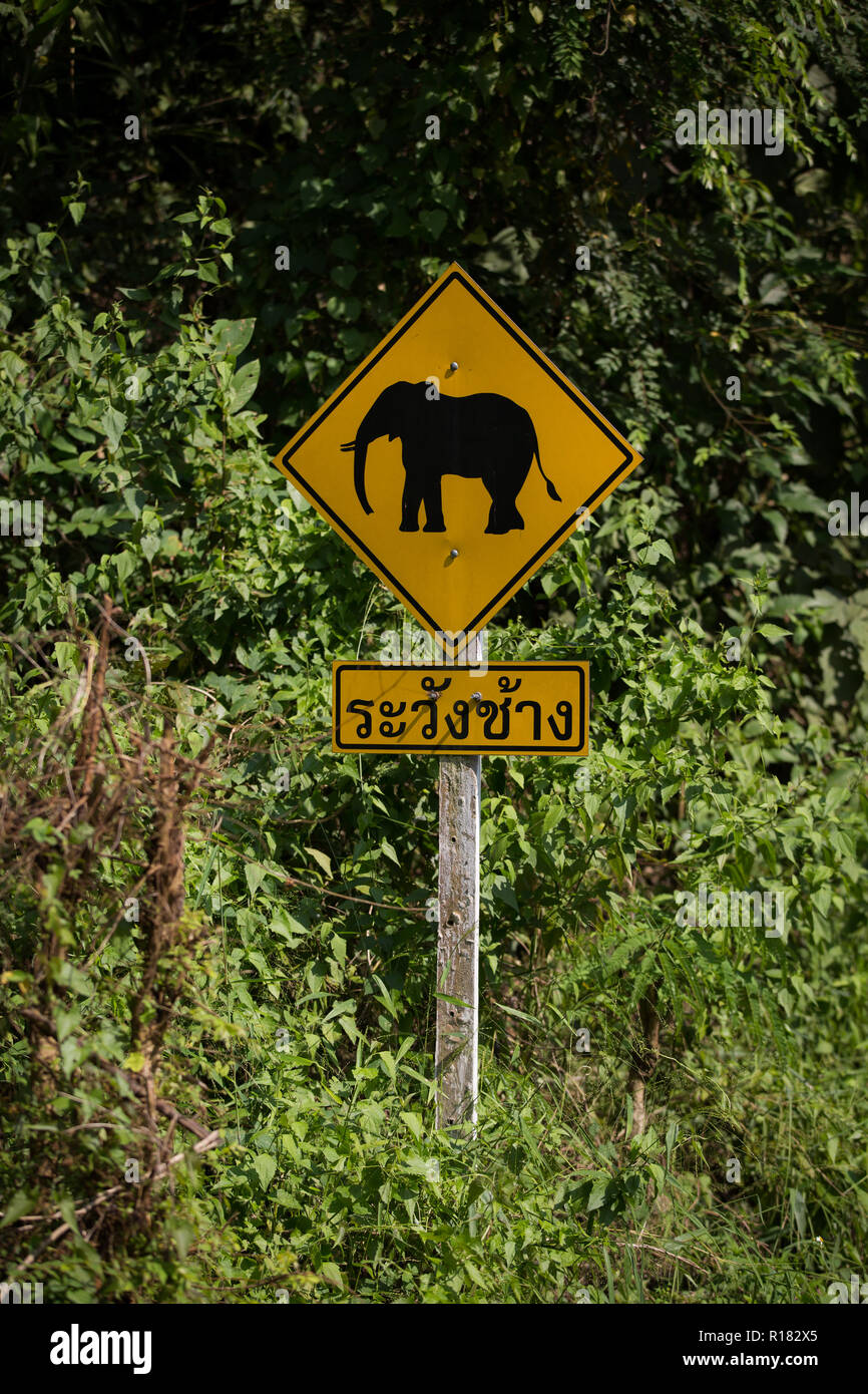 Elephant Crossing Sign in Thailand Stock Photo - Alamy