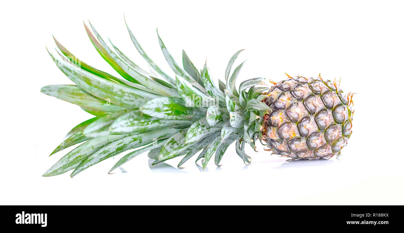 pineapple close up on white background Stock Photo - Alamy