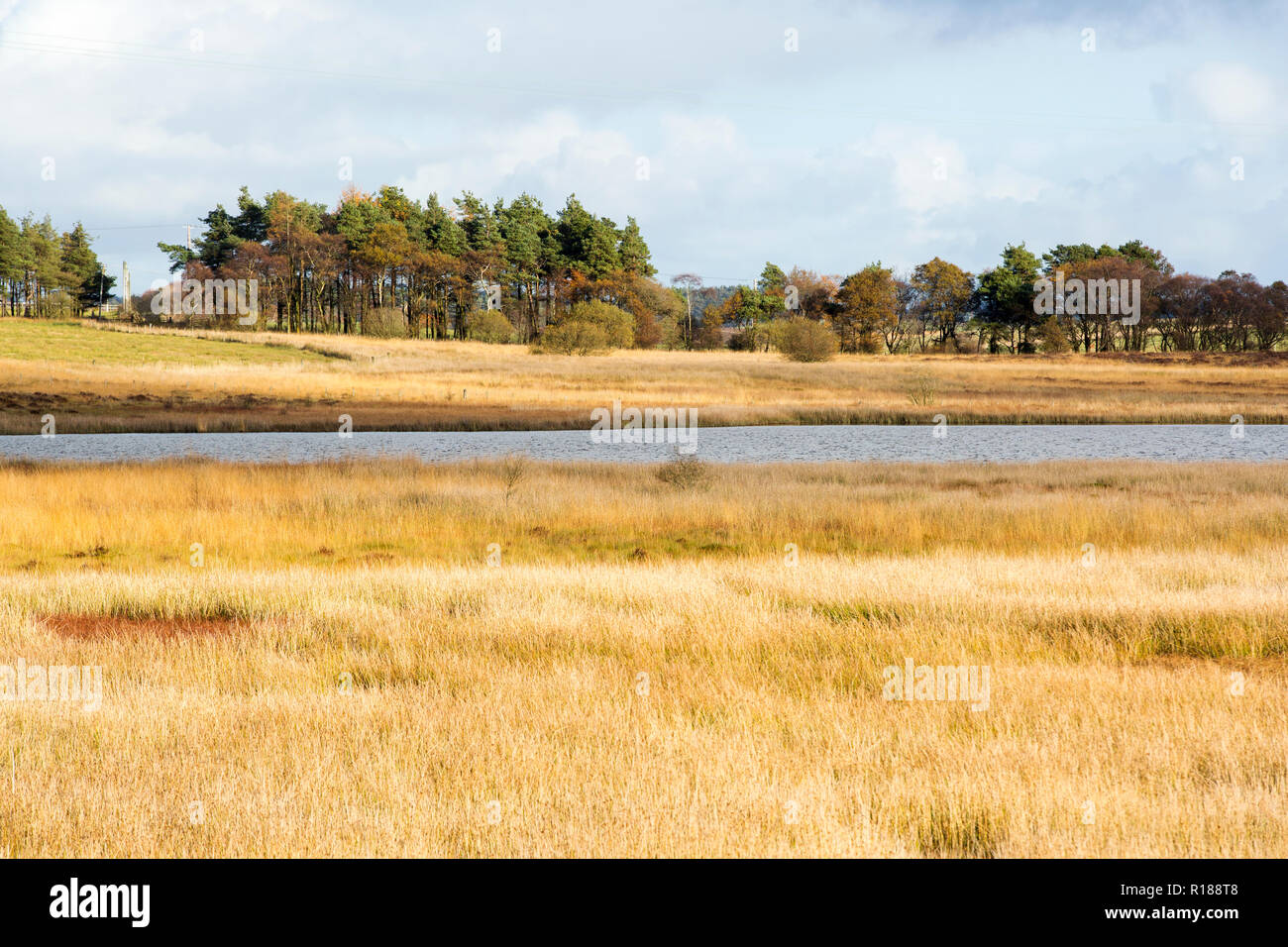 Fannyside Loch near Slamannan, Scotland, UK Stock Photo - Alamy