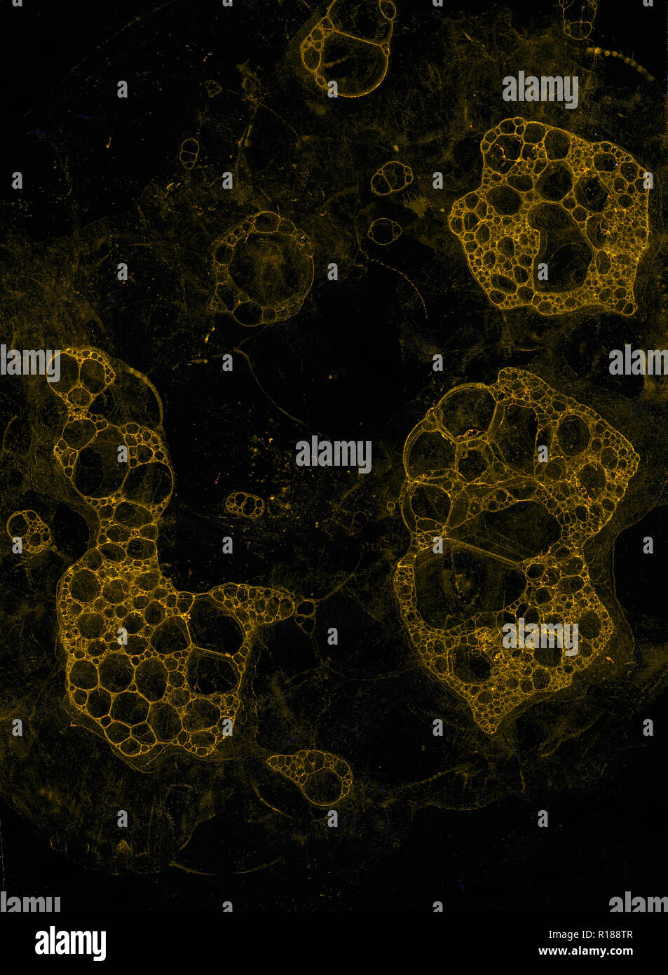 Abstract grunge cellular background against black background Stock ...