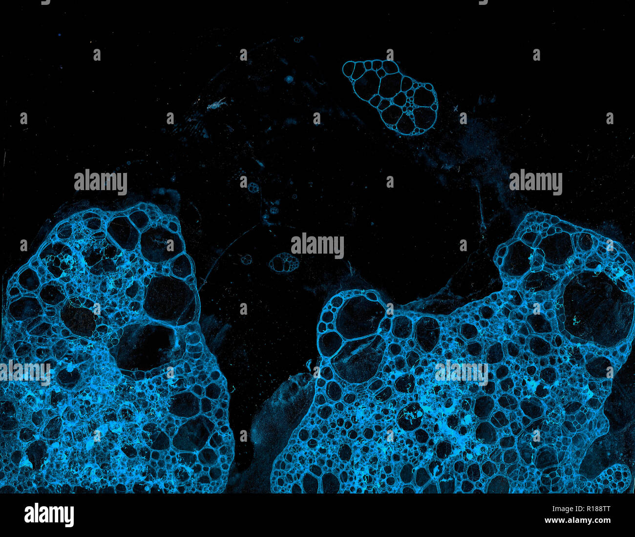 Abstract grunge cellular background against black background Stock ...