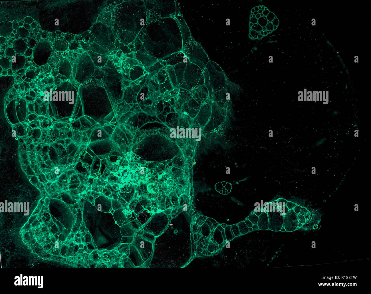 Abstract grunge cellular background against black background Stock ...