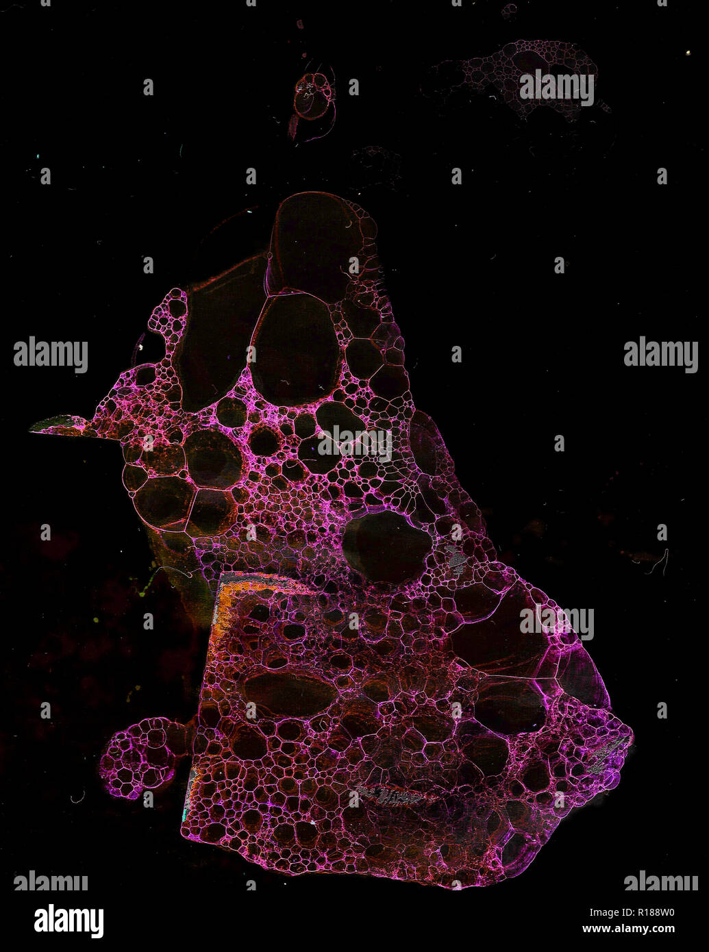 Abstract grunge cellular background against black background Stock ...