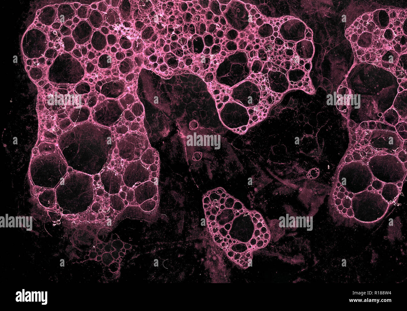 Abstract grunge cellular background against black background Stock ...