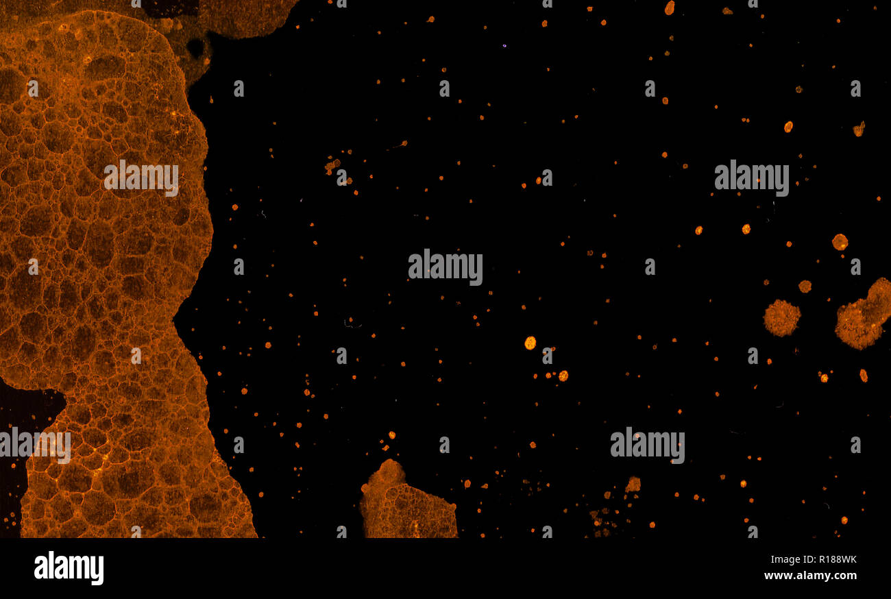 Abstract grunge cellular background against black background Stock ...