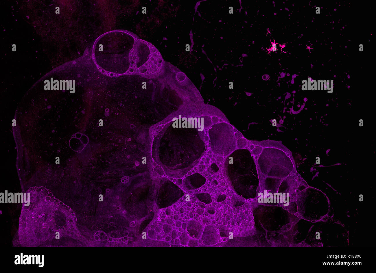 Abstract grunge cellular background against black background Stock ...