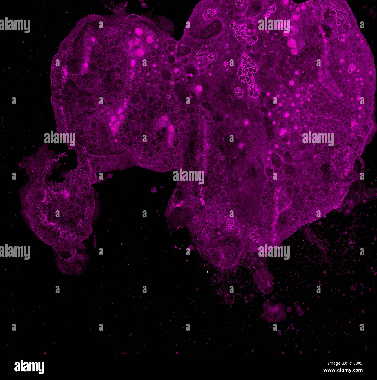 Abstract grunge cellular background against black background Stock ...