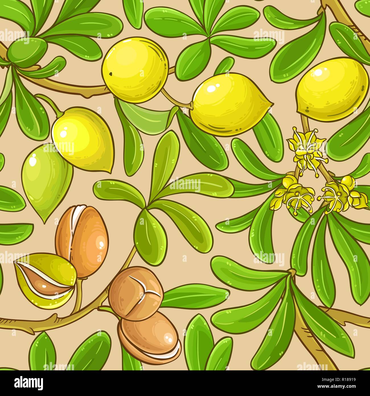 Argan oil vector vectors hi-res stock photography and images - Alamy