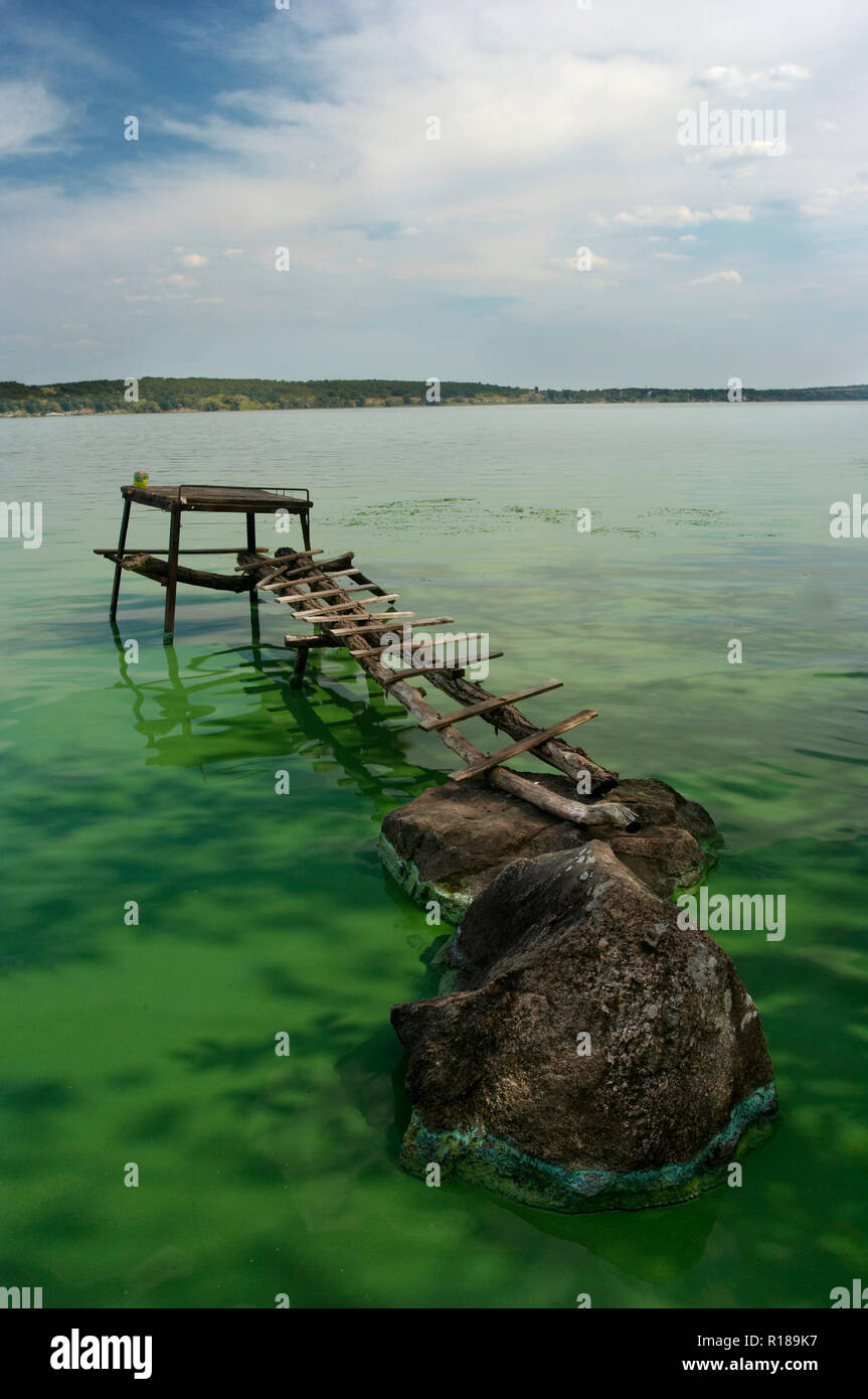 Exotic water landscape Stock Photo - Alamy