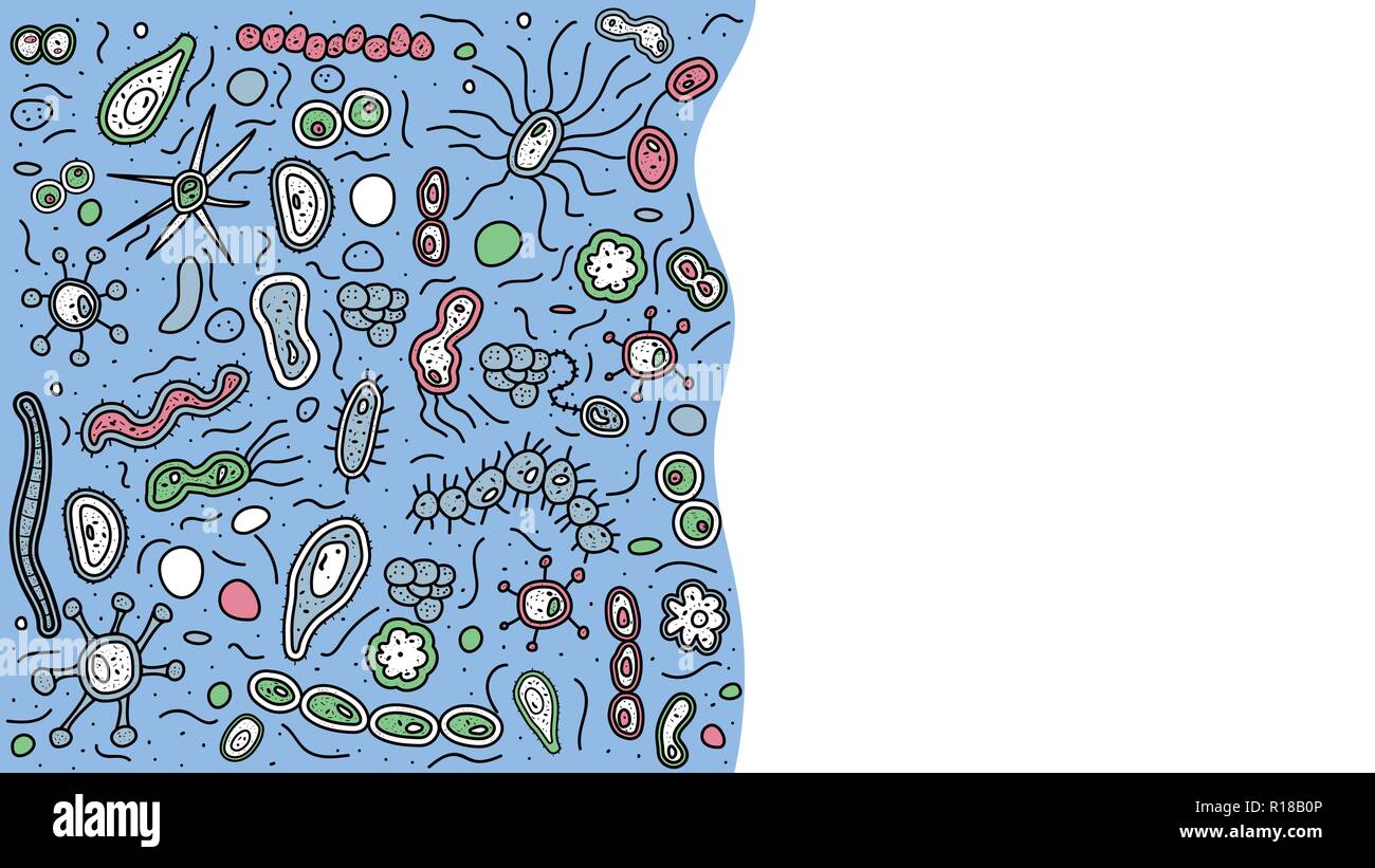 Bacteria cells banner with empty space for text. Microorganism ...