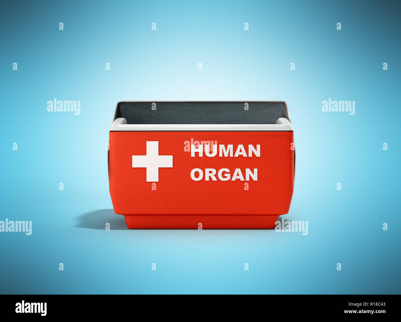 Human organ box hi-res stock photography and images - Alamy