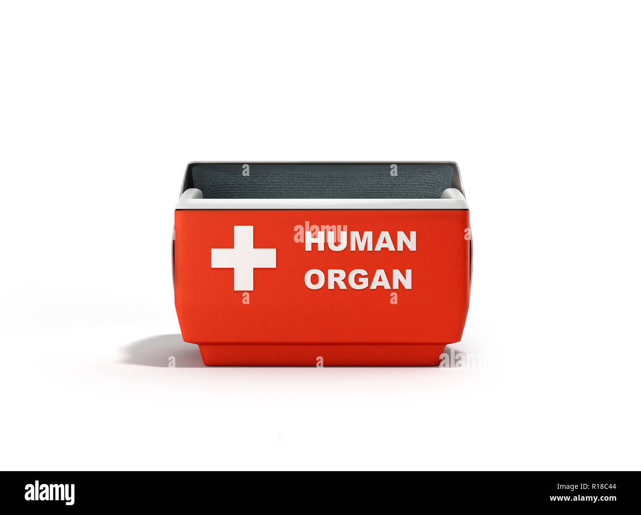 Human organ box hi-res stock photography and images - Alamy