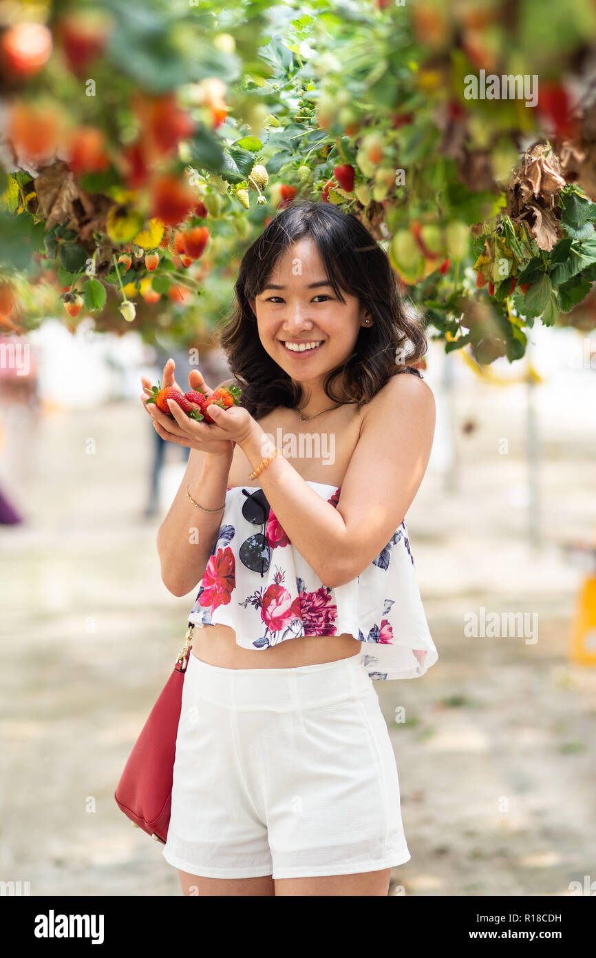 Strawberry harvest australia hi-res stock photography and images - Alamy