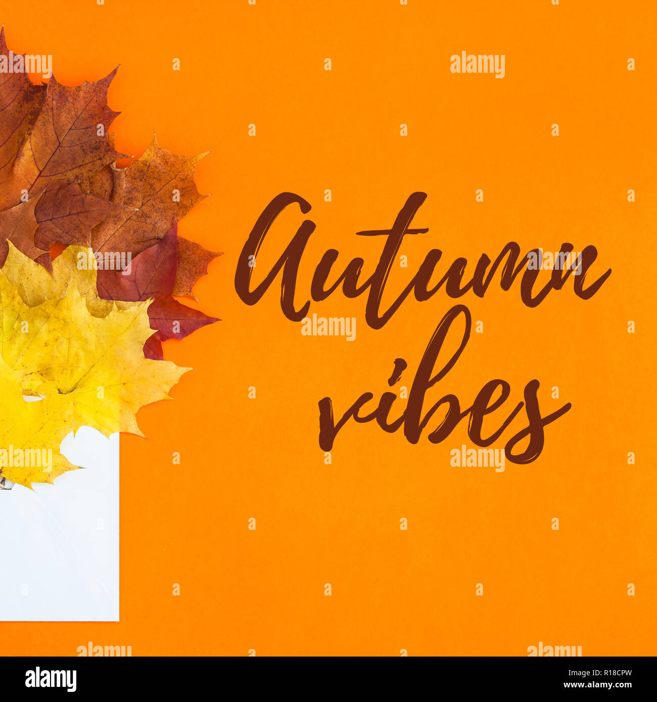 Creative Top view flat lay autumn concept composition. Envelope dried ...