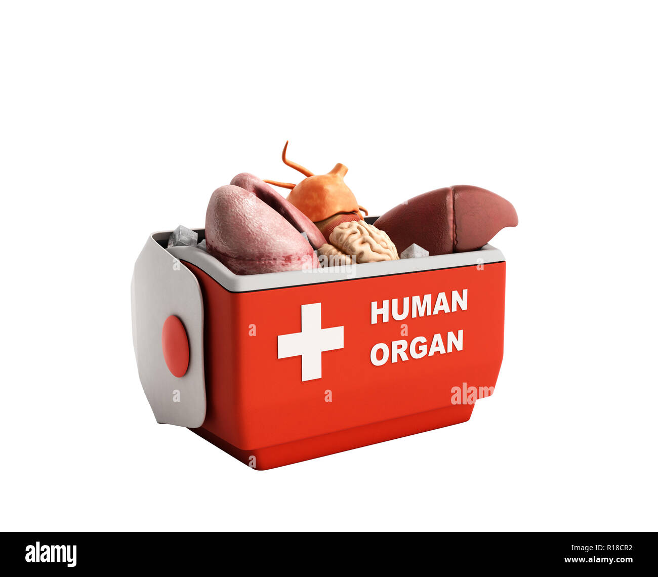 Organ transport cooler box hi-res stock photography and images - Alamy
