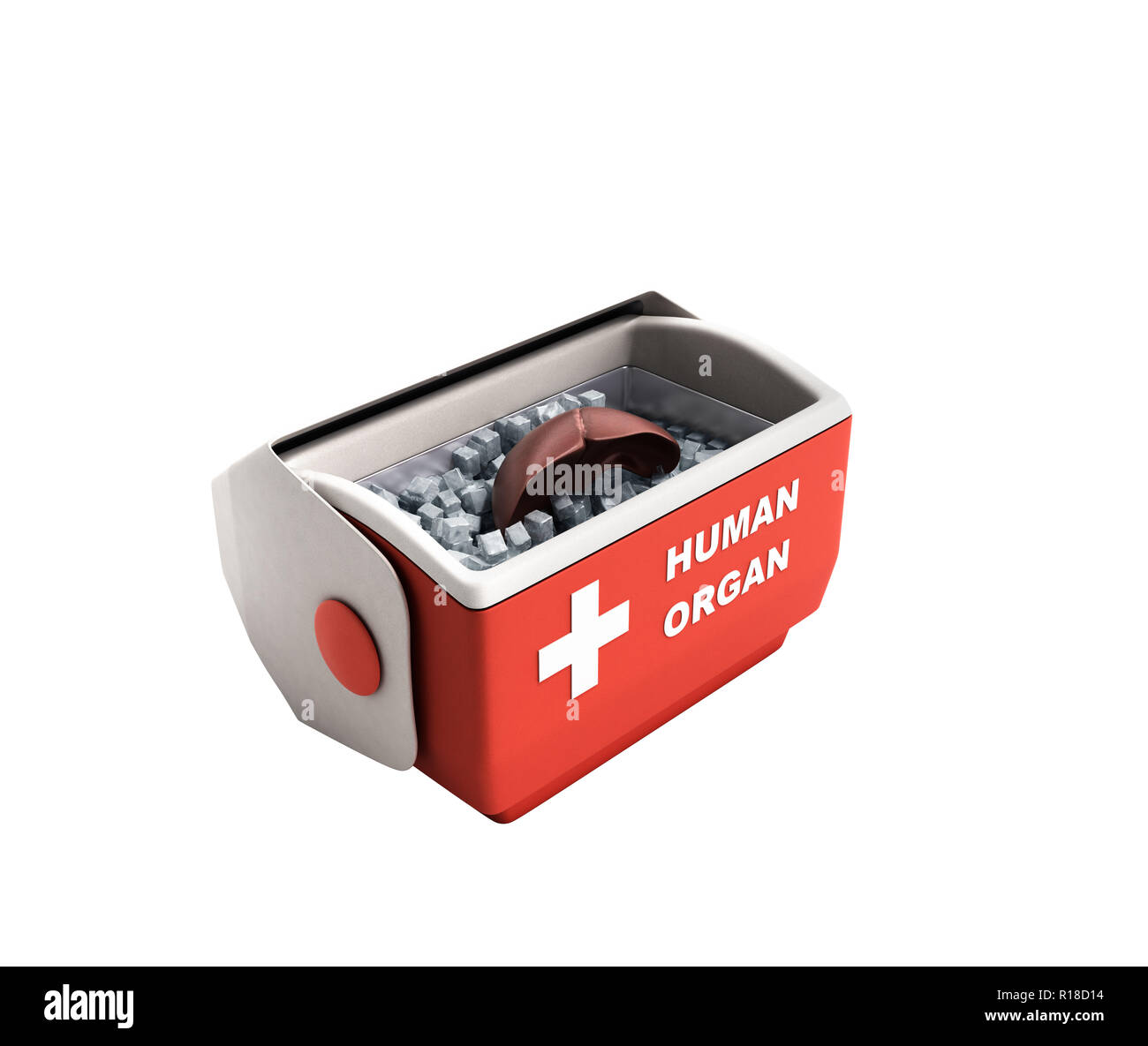 organ transportation concept open human organ refrigerator box red 3d ...