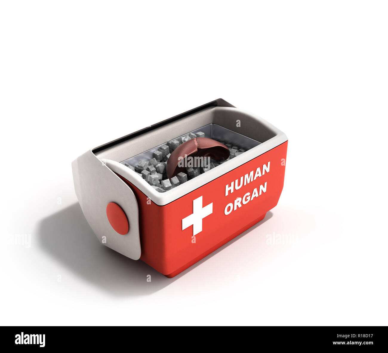 organ transportation concept open human organ refrigerator box red 3d ...