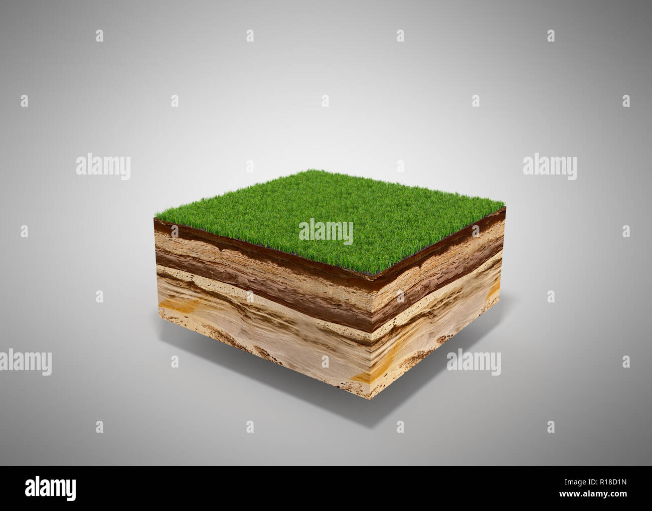 Soil cross section tree roots hi-res stock photography and images - Alamy