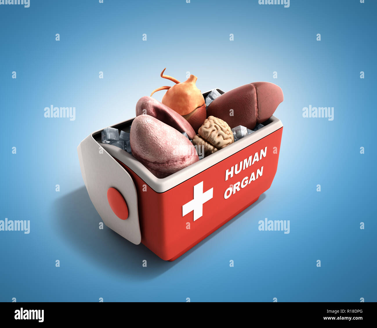 Organ transport cooler box hi-res stock photography and images - Alamy