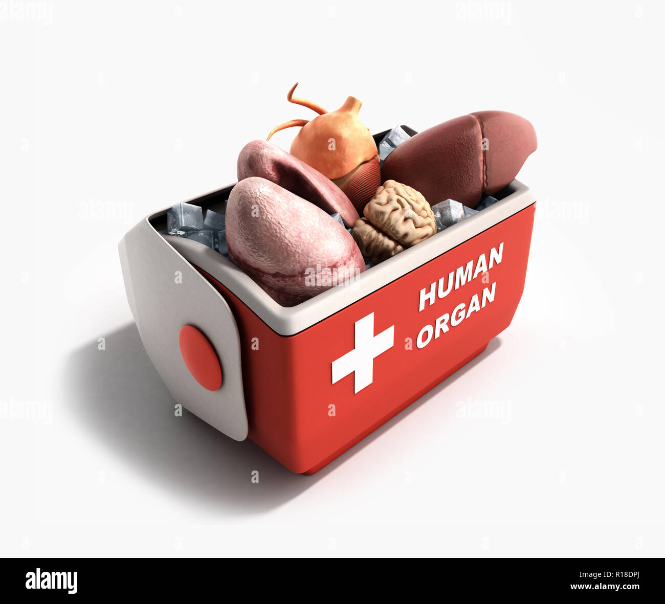 Organ transport cooler box hi-res stock photography and images - Alamy