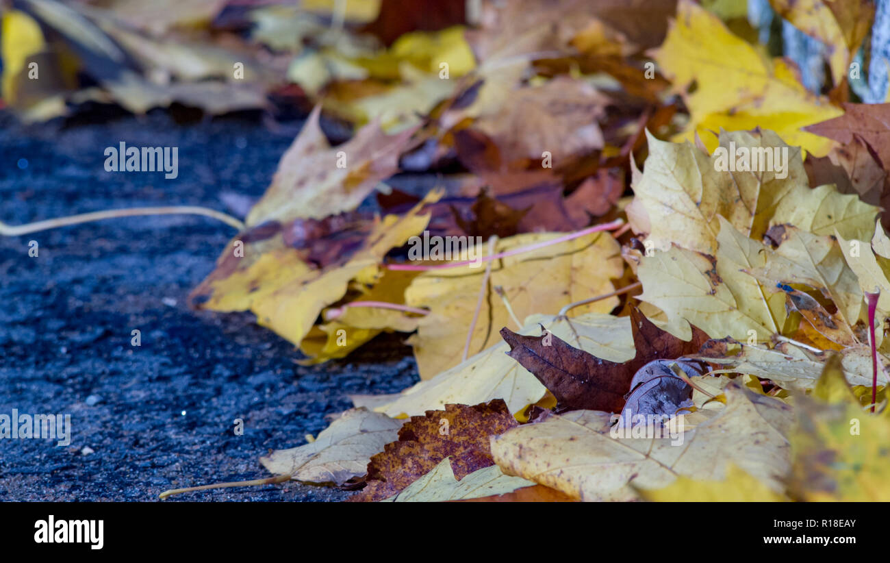 Halifax nova scotia fall hi-res stock photography and images - Alamy