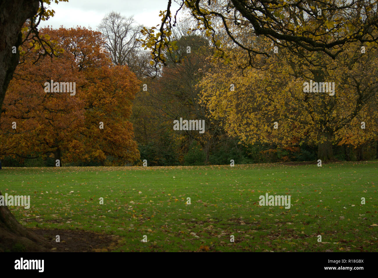 Rozelle park ayr hi-res stock photography and images - Alamy