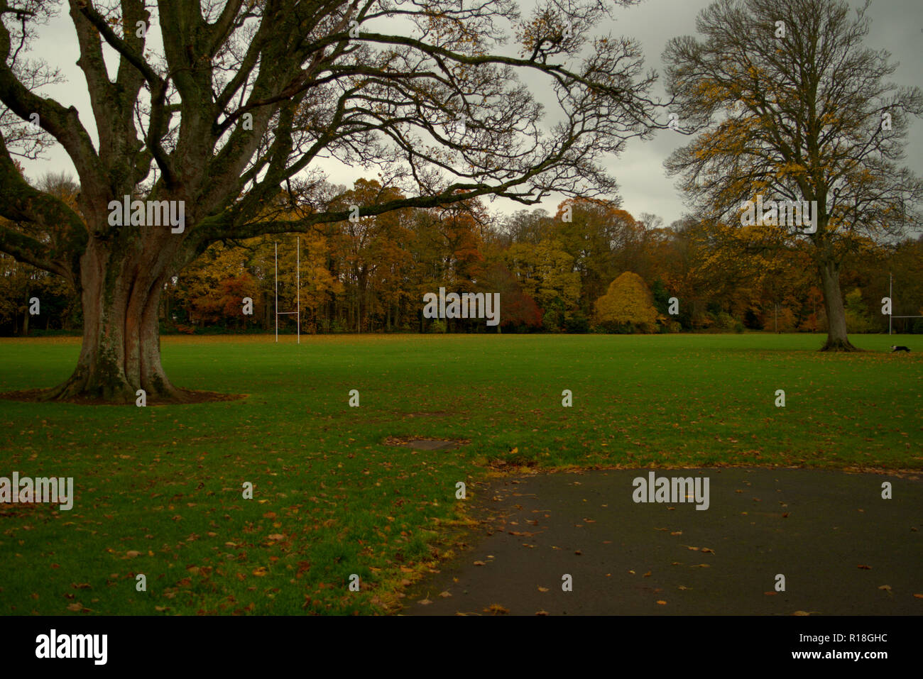 Rozelle Park, Ayr, Scotland in Autumn colours Stock Photo - Alamy