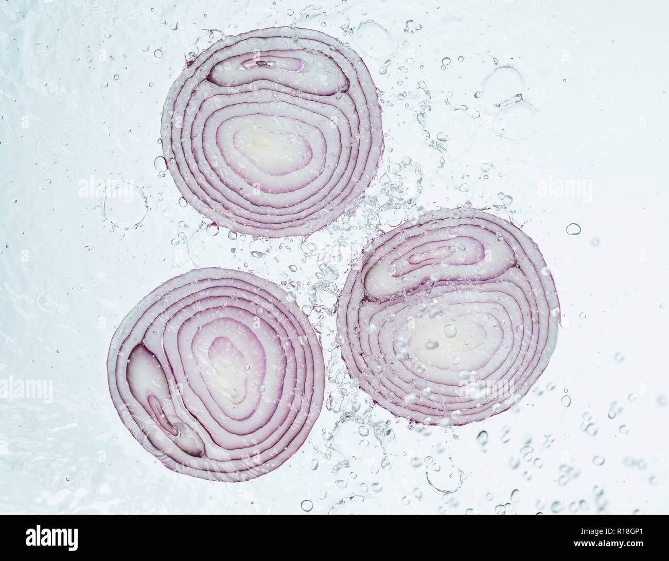 Red onion slices on white background with water splash Stock Photo - Alamy
