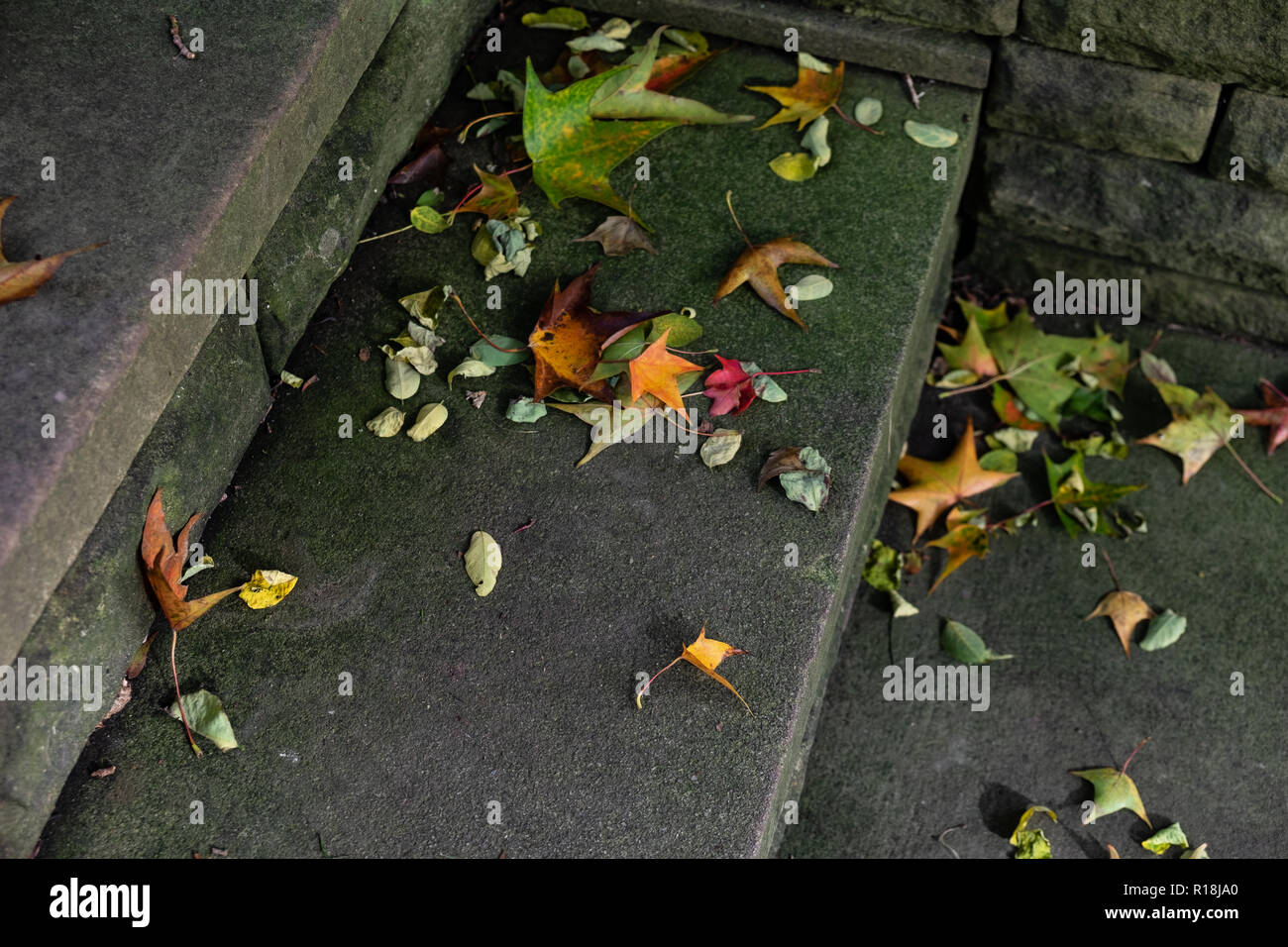 Leaves on steps hi-res stock photography and images - Alamy