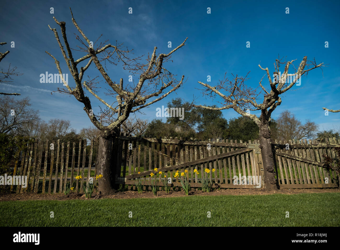 Landmark winery sonoma hi-res stock photography and images - Alamy