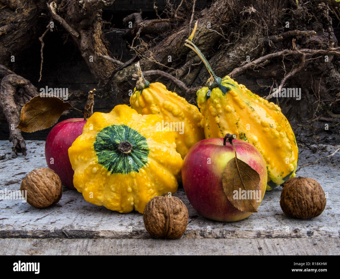 A group of ripe, autumn vegetables and fruits on the rough background ...