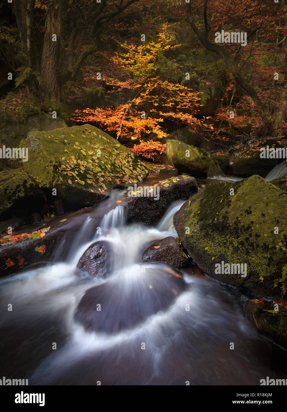 Waterfall natural cascade tree hi-res stock photography and images - Alamy