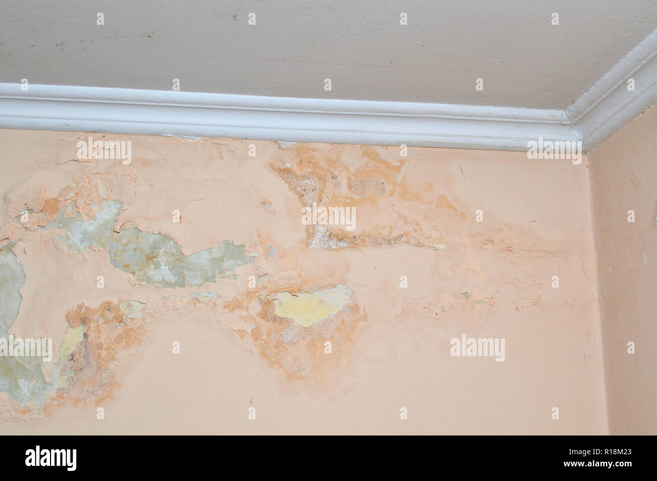 Wall of a room damaged due to moisture Stock Photo - Alamy