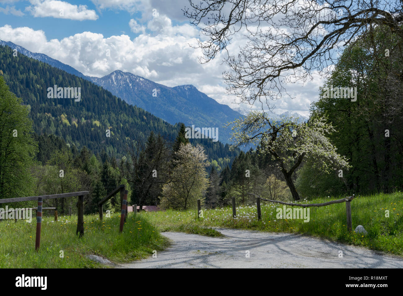 Rendena hi-res stock photography and images - Alamy