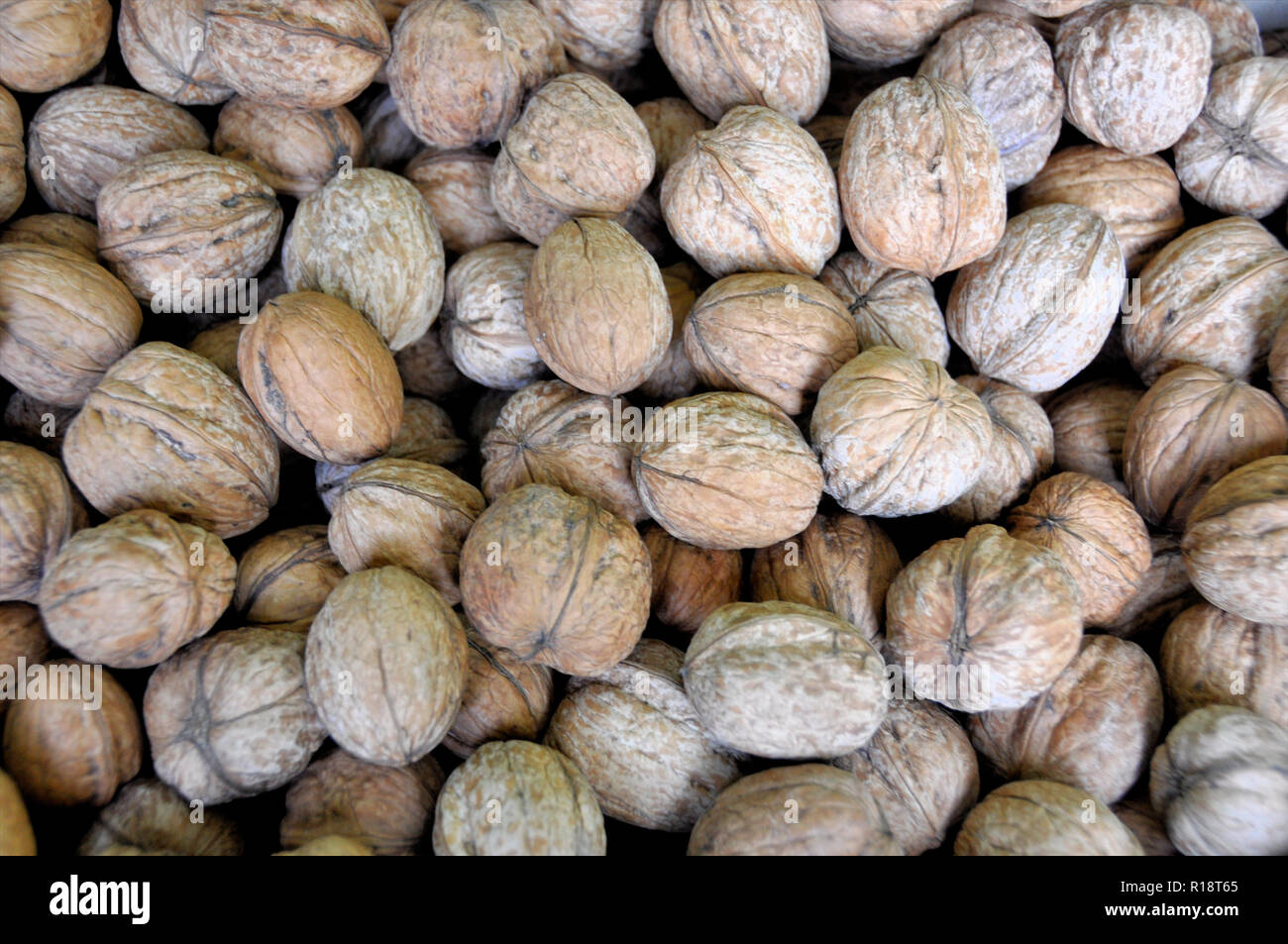 Nut harvest hi-res stock photography and images - Alamy