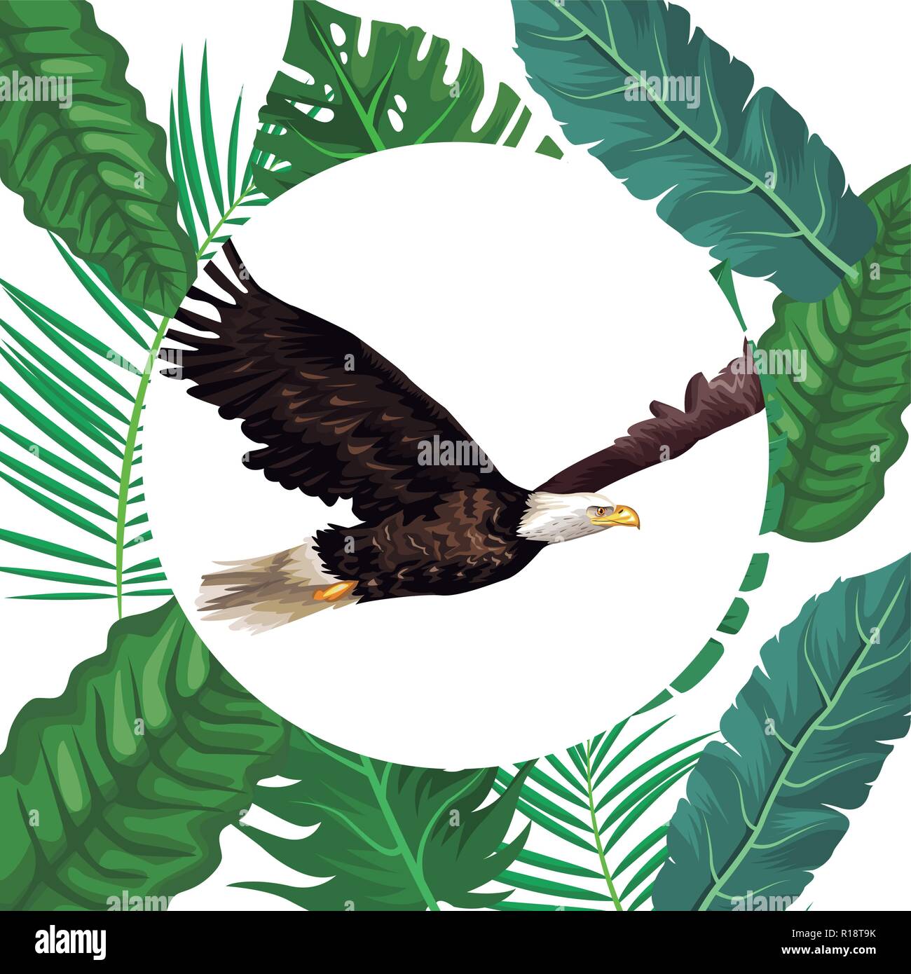 wild eagle cartoon round icon over leaves foliage background vector ...