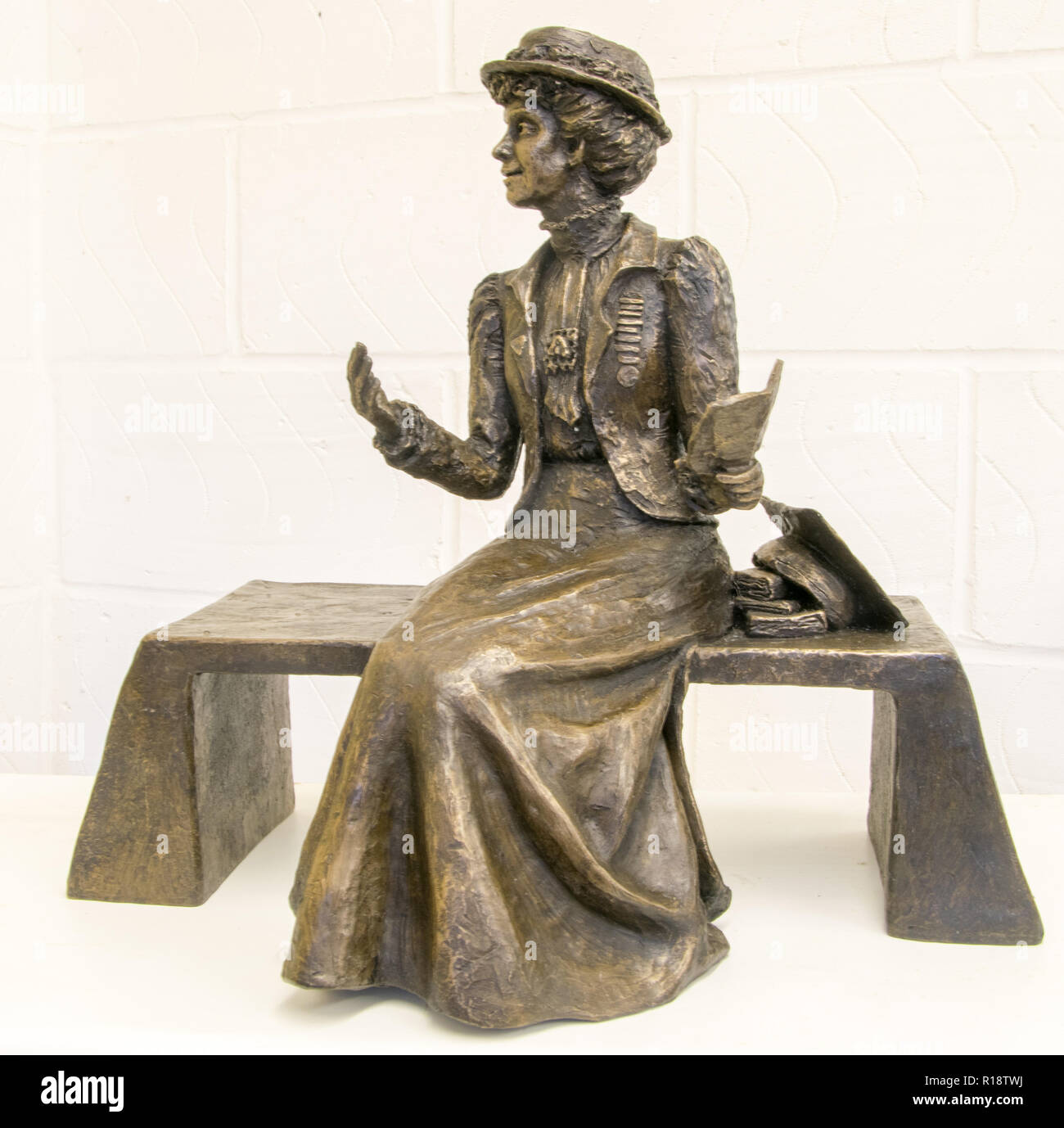 To celebrate the birthday of Emily Wilding Davison the Emily Davison ...