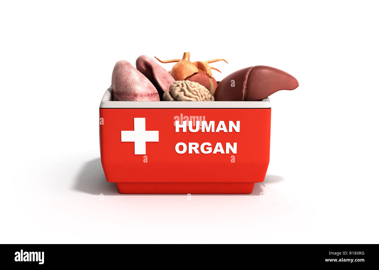 Organ transport cooler box hi-res stock photography and images - Alamy