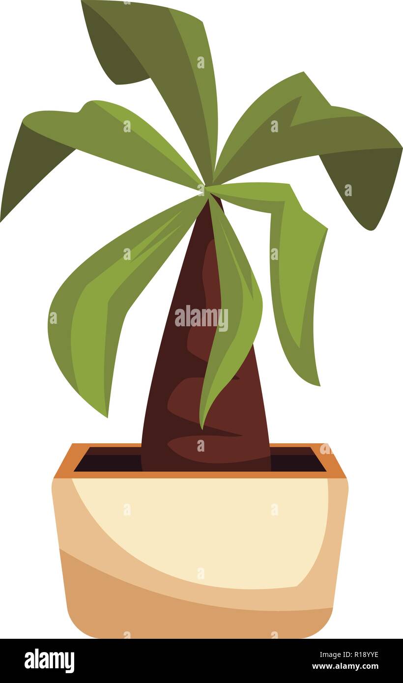 plant pot cartoon vector illustration graphic design Stock Vector Image ...